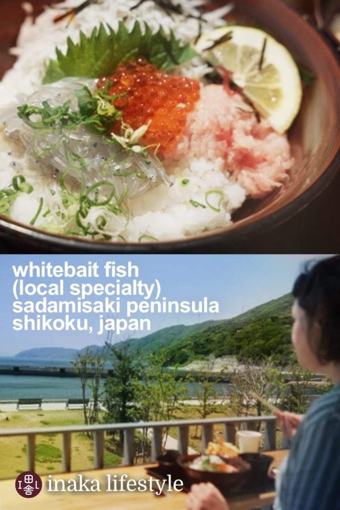 Sadamisaki Peninsula: Japan’s Serene Seaside Travel Destination