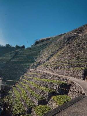 All About Traditional Japanese Stone Walls | Ishigaki Guide